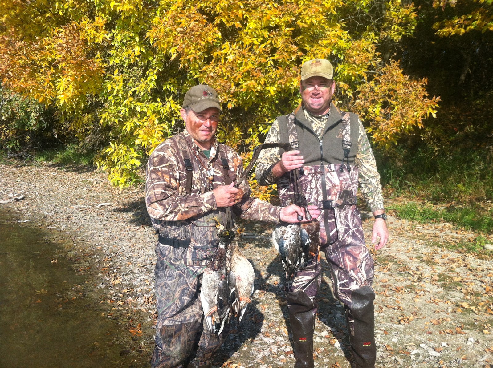 Yellow Dog Patrol: Minnesota Duck Hunting Report