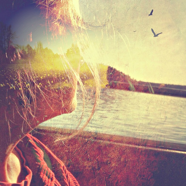 The window as a metaphor ~ Sweetpea Path