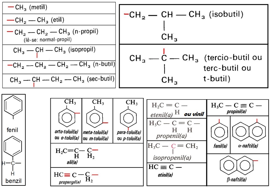 Química a Favor da Vida: Radicais Orgânicos