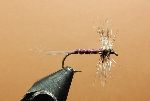 Flytying: New and Old: Gray Hackle Series