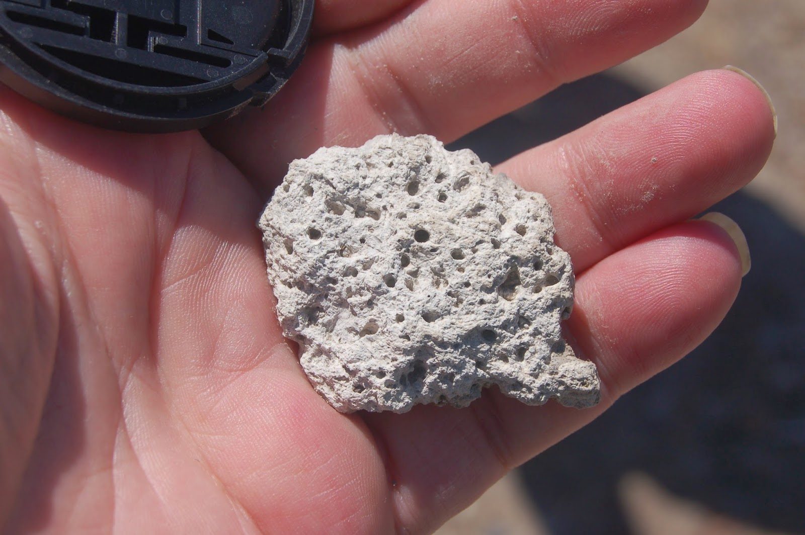 Outside The Interzone: Geo 730: March 24, Day 448: Siliceous Sinter