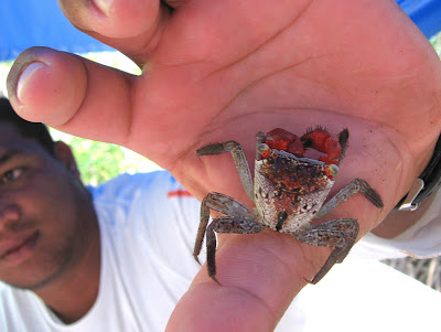 NeuroDojo: March 2011