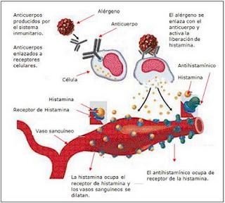 BLOG FARMACOLOGIA: junio 2013