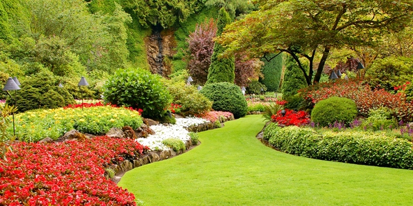 Tips Merancang Taman Rumah Hemat Biaya - Rancangan Desain Rumah Minimalis