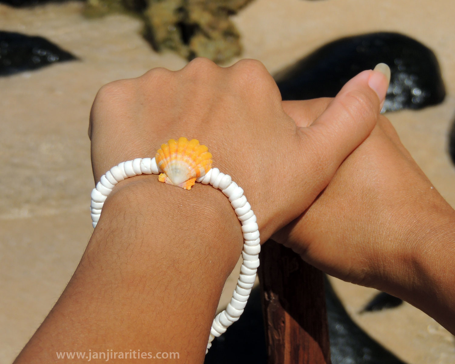 Kahelelani & Sunrise shell jewelry by.... Janjira: May 2013