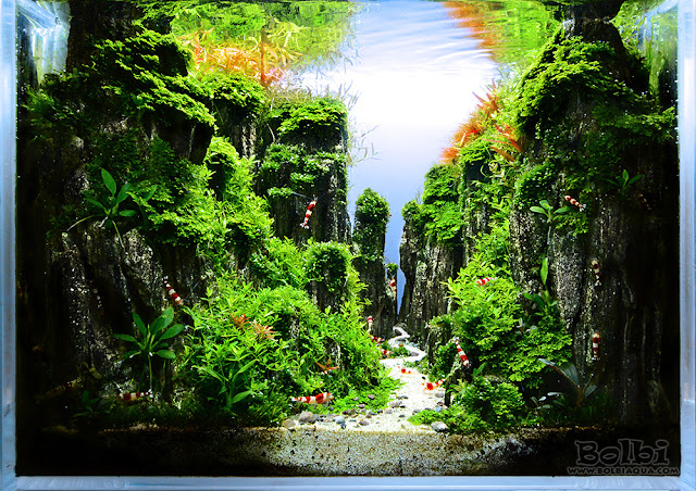 Nano aquascape - "Crystal Canyon" ~ Bolbi Aquarium
