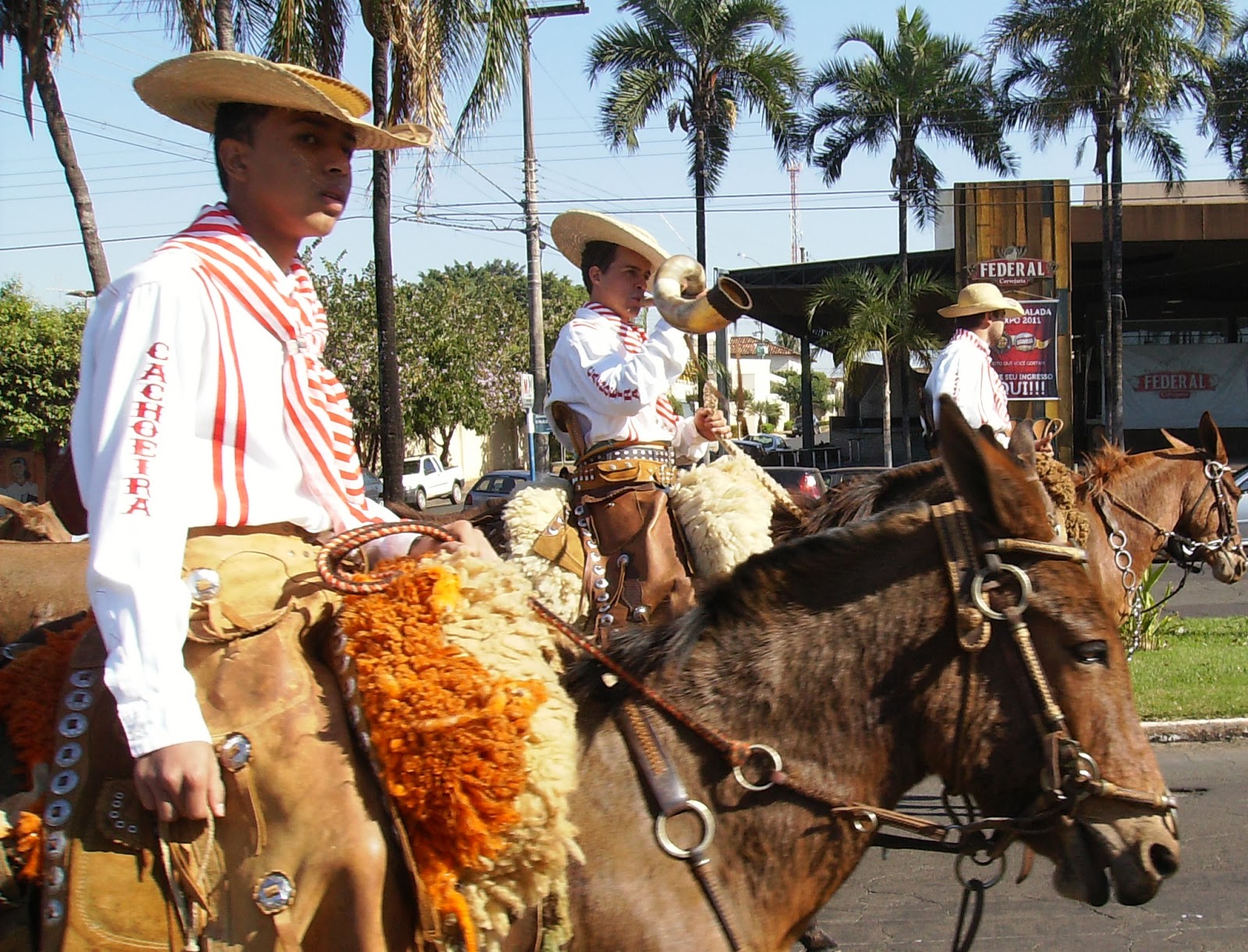 BLOG FAMÍLIA NAVES: Tradições na Família Naves - COMITIVAS e CAVALGADAS.