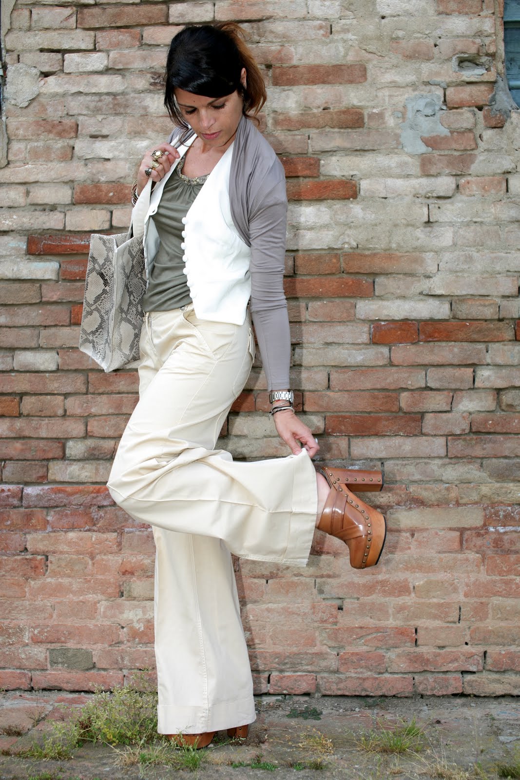 ChiccaStyle: Playing With Safari Colors...