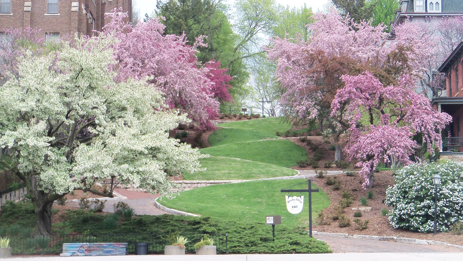 Побачити світу з Ольгою Чорною: Берлінгтон, США: Зміїна алея (Snake Alley)