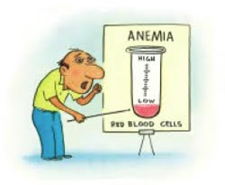 Tamara Fagundes: Anemia