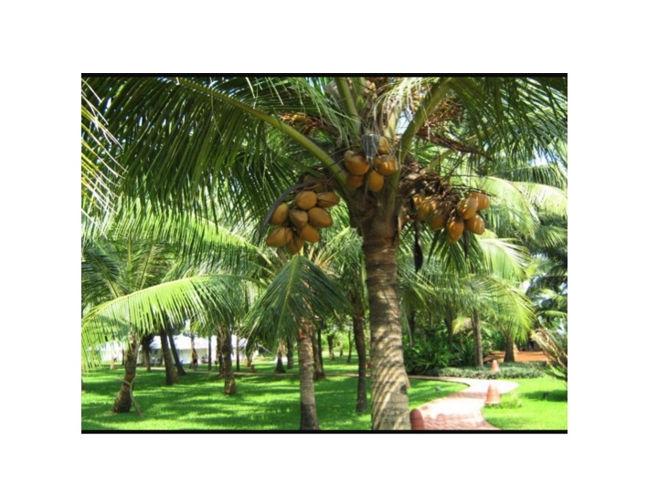 Nutytaste: julio 2016