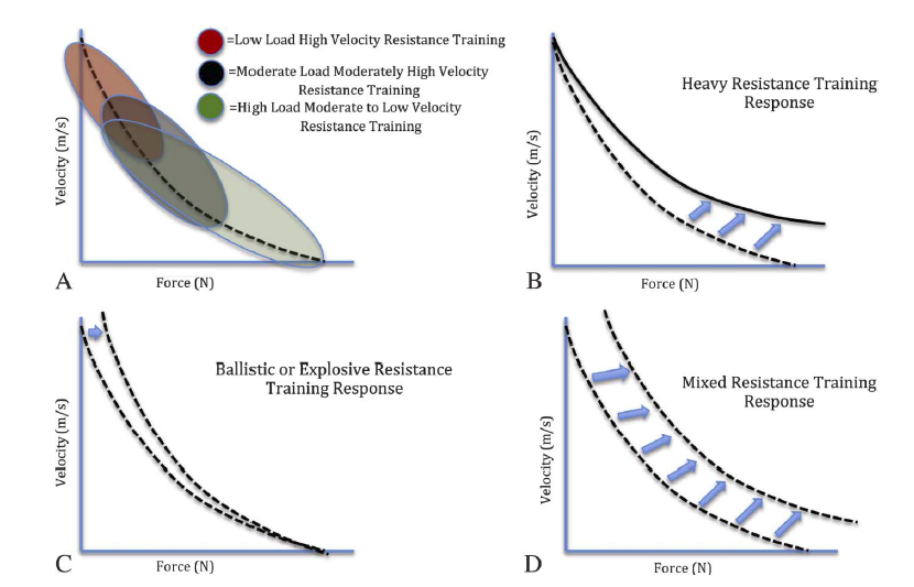 VBT=Zero Gains: A Powerlifter's Guide to VBT Pt 5: Future Directions ...