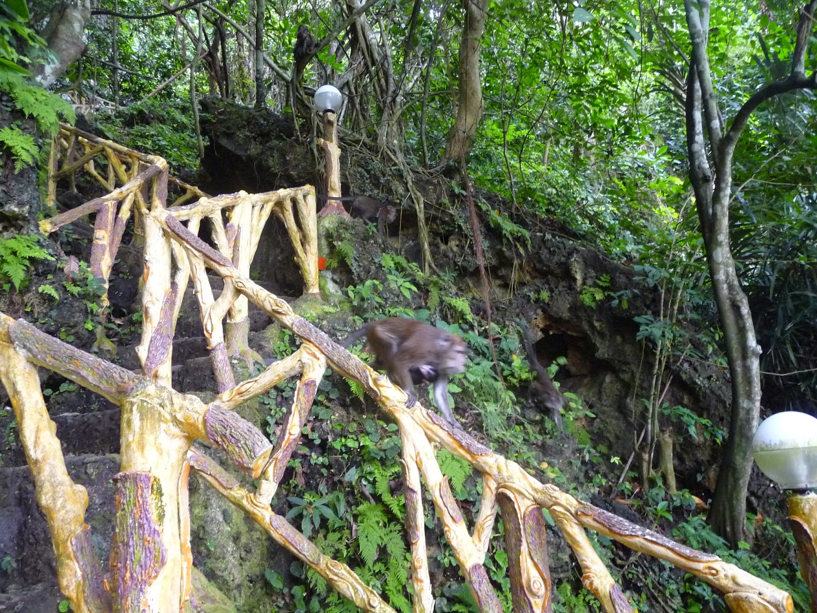 Leyte Places: Hindang Caves and Wild Monkeys