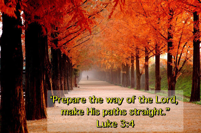 Straight Paths, Prepared Hearts (Luke 3-4:13) - Women in the Word