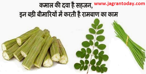 Sahjan ke Swasthya Laabh | सहजन के स्वास्थ्य लाभ | Health Benefits of ...