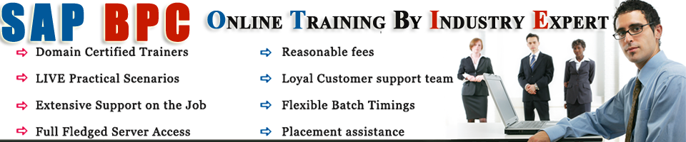 SAP BPC MAterials - PDF's ~ SAP BPC Training Guide