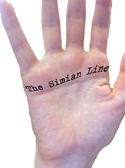 Simian Lines And Semi-Simian Lines Palmistry ~ INDIAN PALMISTRY | PALM ...