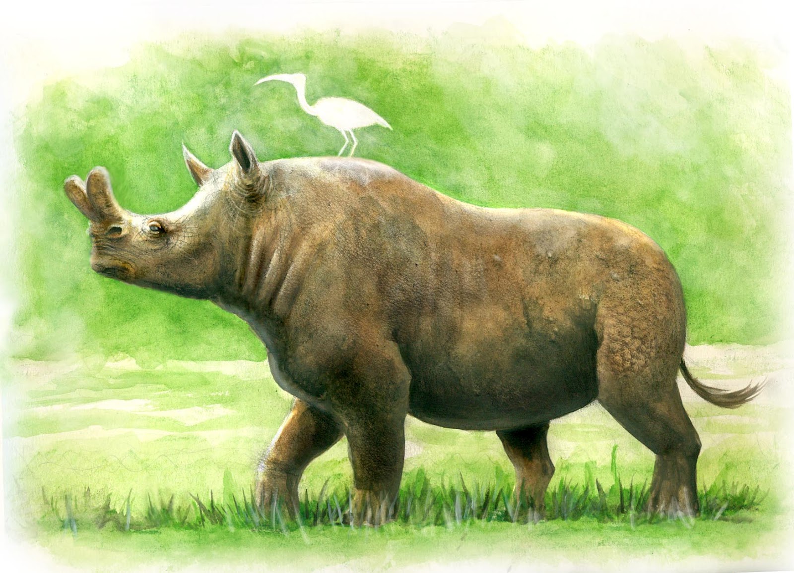 Brontotherium