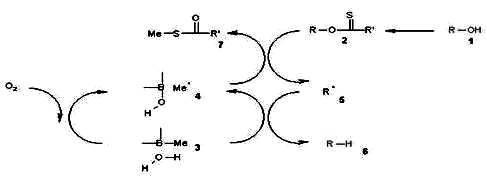 Barton–McCombie deoxygenation