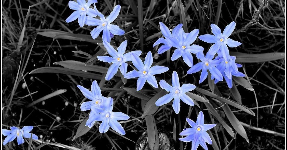 Miscarriage- My Story — Rice Cakes and Raisins