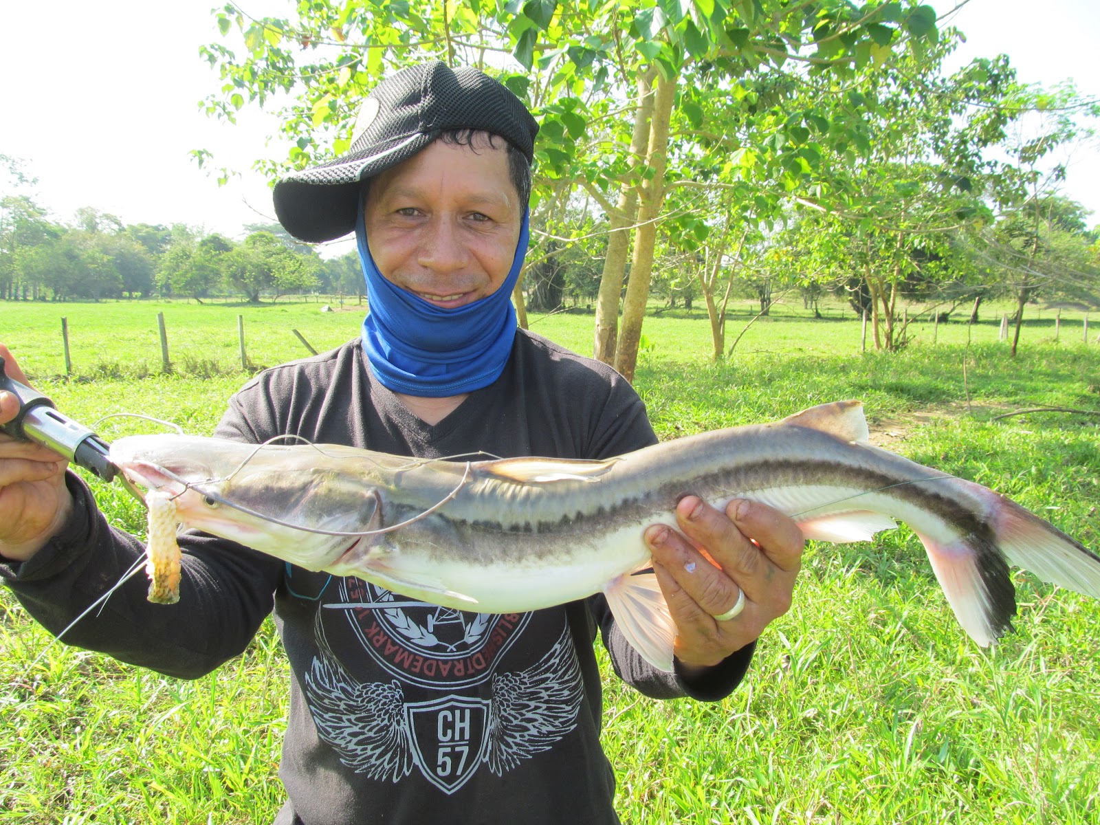 Espacio de Pesca: Pesca de bagre (Blanquillo) en Estacion Cocorna ...