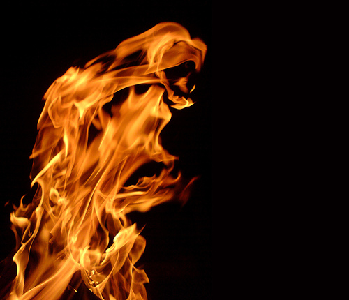 Legenda Phoenix Si Burung Api