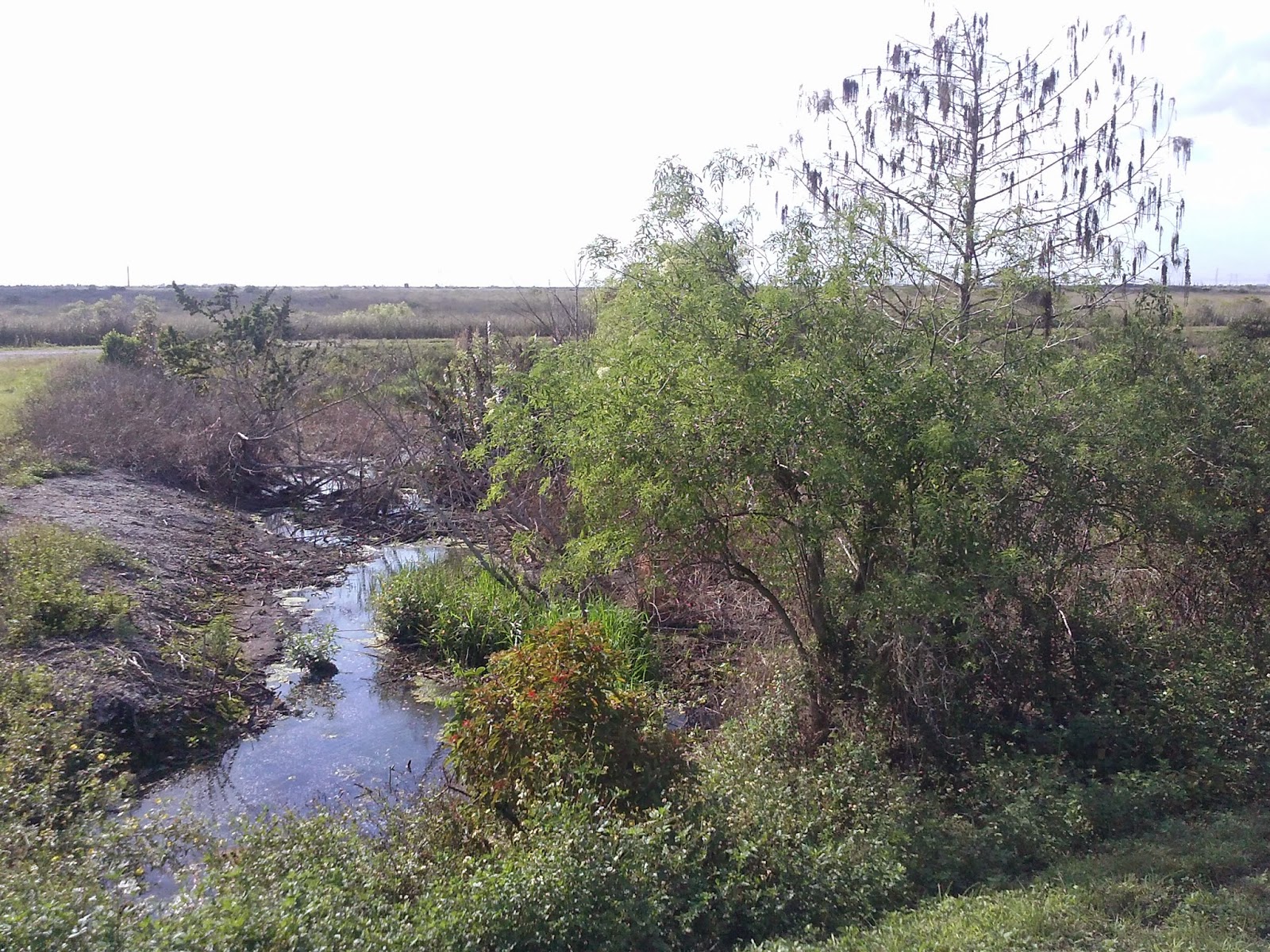 David Rutner's Portfolio Project