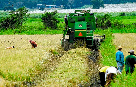 Economía Empresarial: La Producción