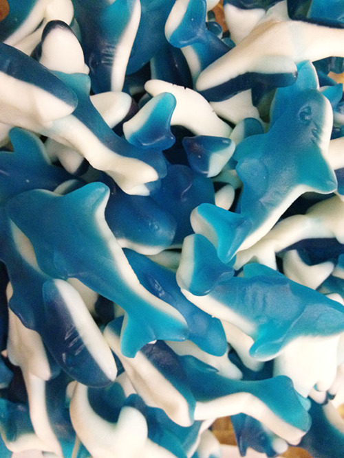 Calvin's Canadian Cave of Coolness: Gummy Sharks Are Yummy Sharks