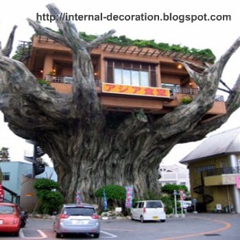 Collections Photo: Strange Banyan Tree House Cafe in Japan