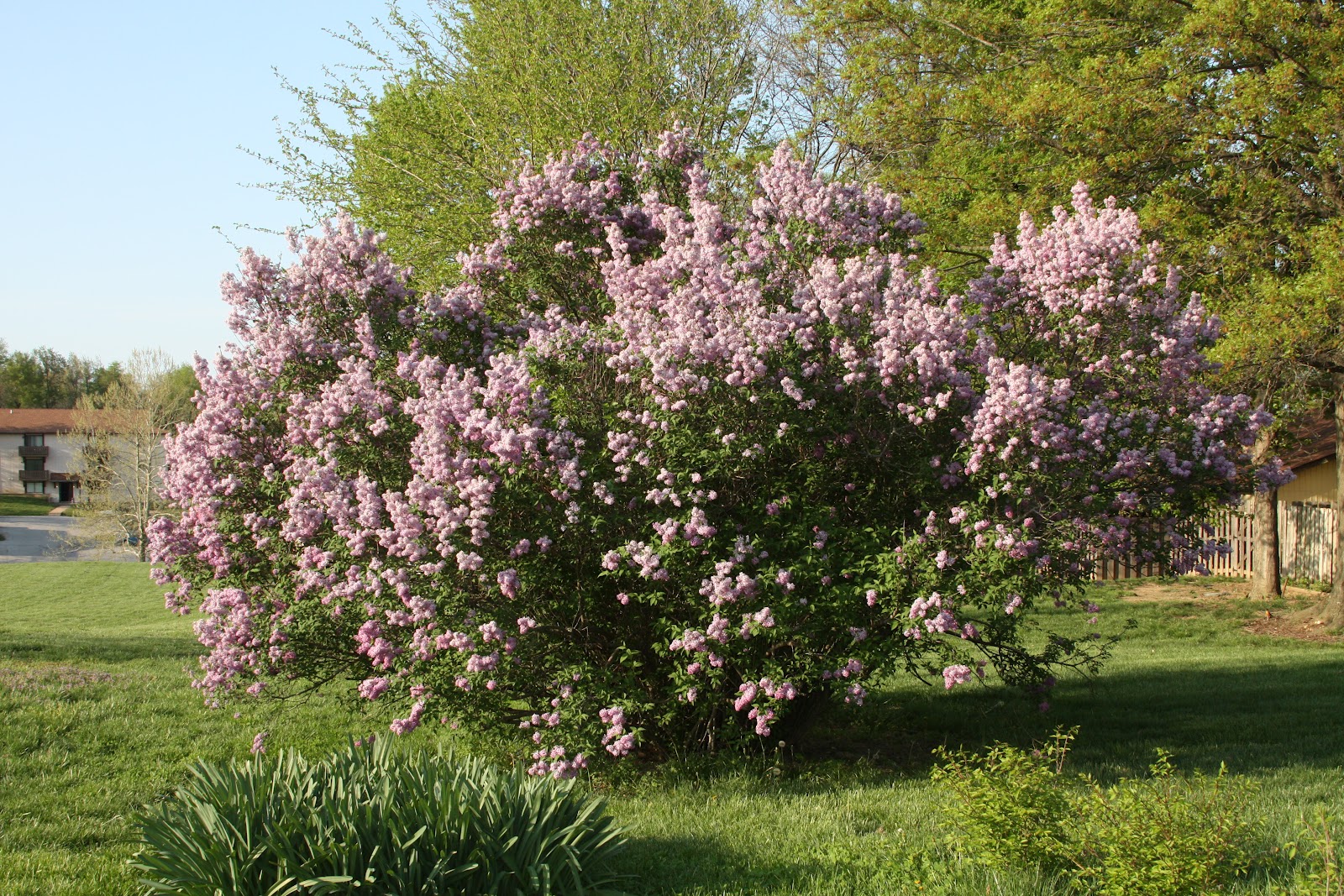 Ca$hjocky and the "Old Salt": March 2012