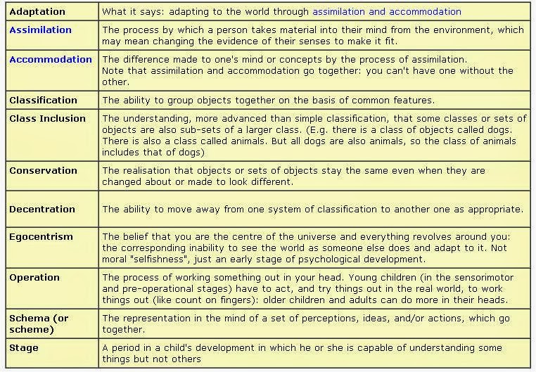 Jean Piaget : Theory of Cognitive Development - Mind Philosopher