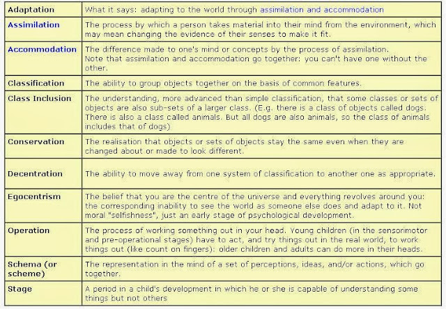 Jean Piaget : Theory of Cognitive Development - Mind Philosopher