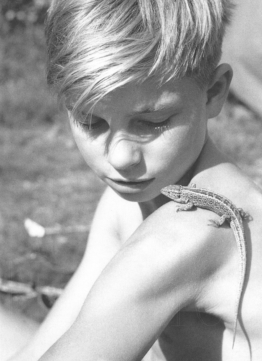 Wissenschaftslehre: die fast vollendete Vernunftkritik: Ästhetik.