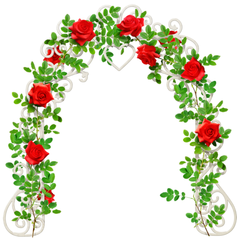 ForgetMeNot: arches with roses