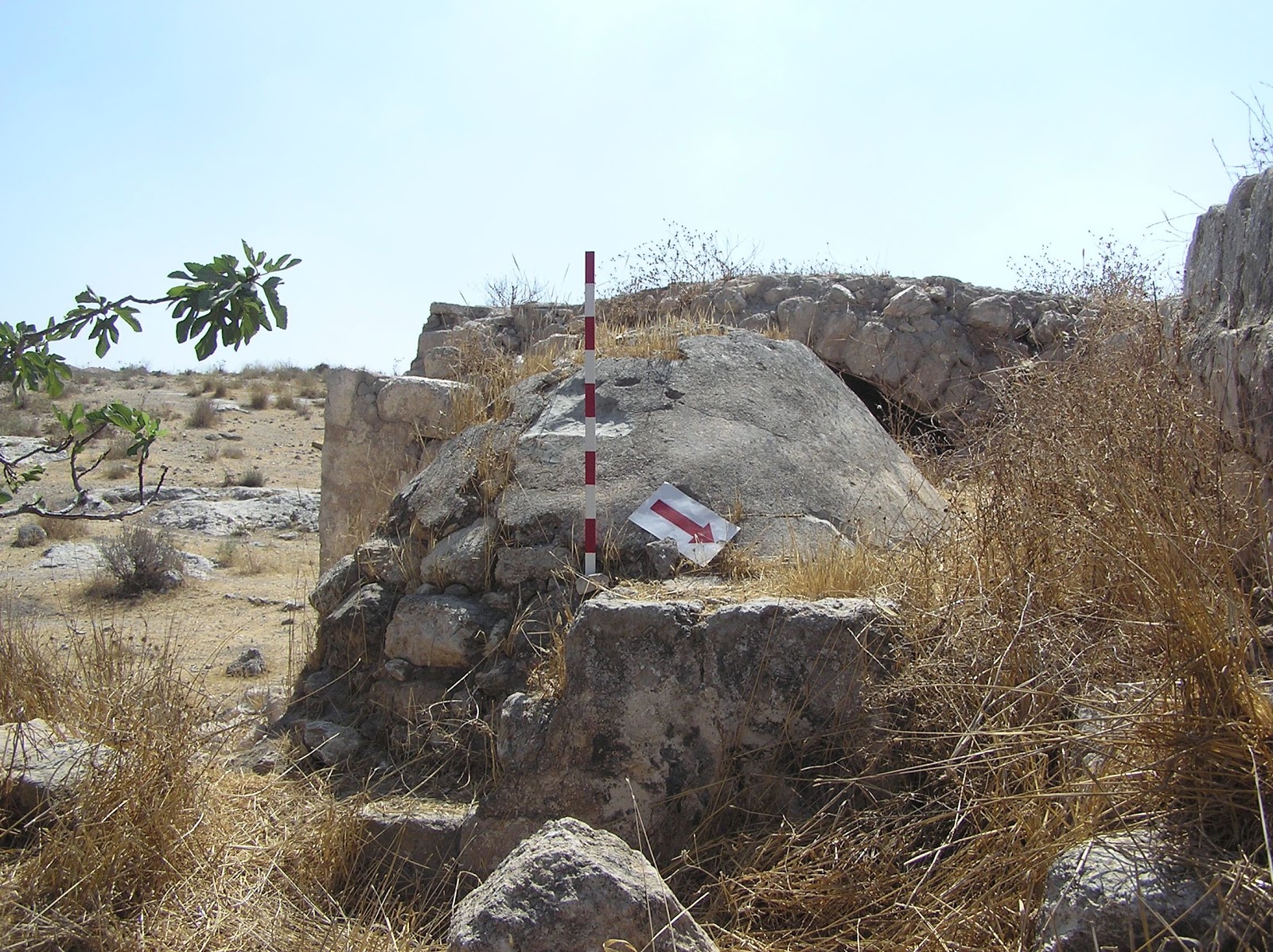 Muslim shrines in Israel: 4. Maqams. Shfela