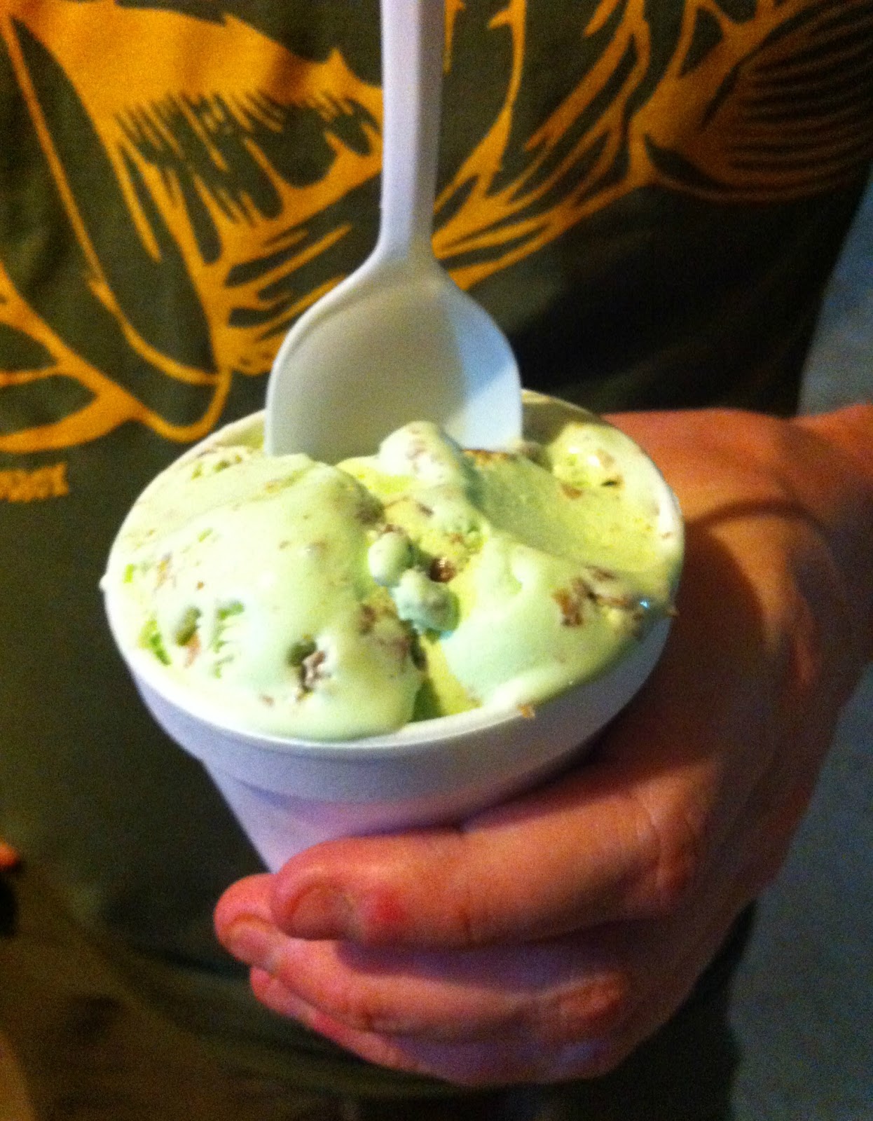 We Eat A Lot of Ice Cream-Caye Caulker Edition - Obligatory Traveler