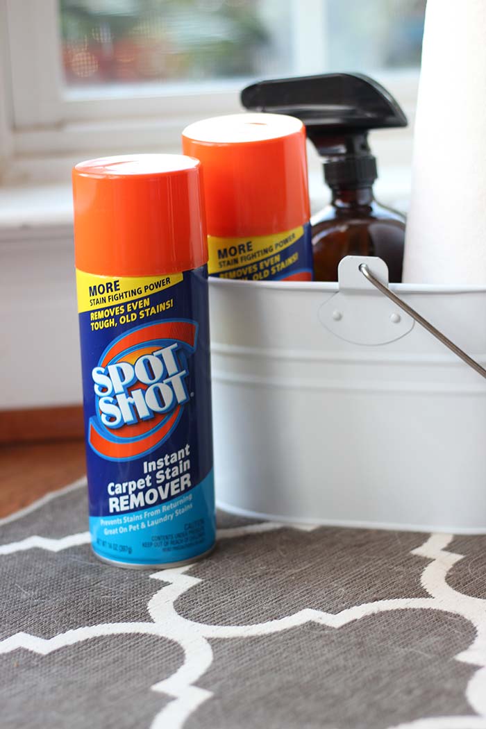 FREE Printable Winter House Cleaning Checklist | Sunny Day Family