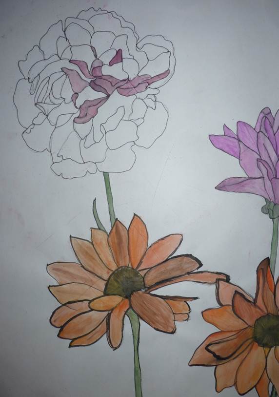 1088139163: Observational Timed Drawings Of Flowers