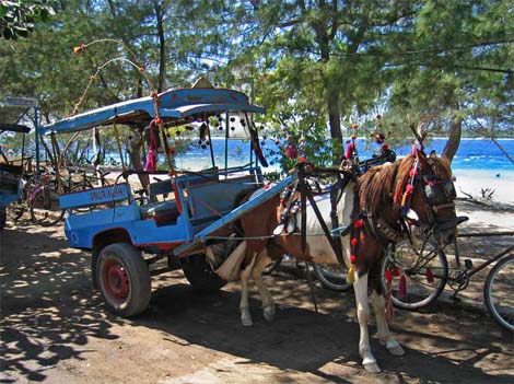 Mr-nyariadi: Traditional Transportation in INDONESIA