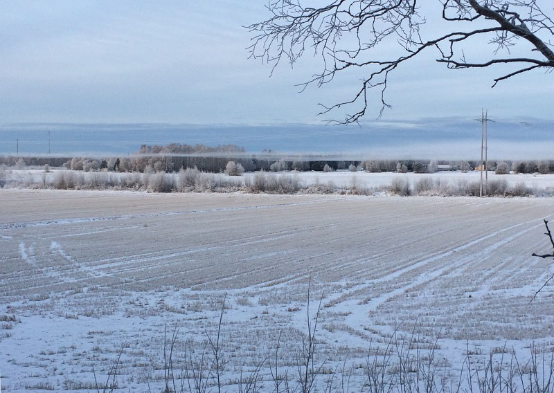 Mina fotostunder: Frostdag