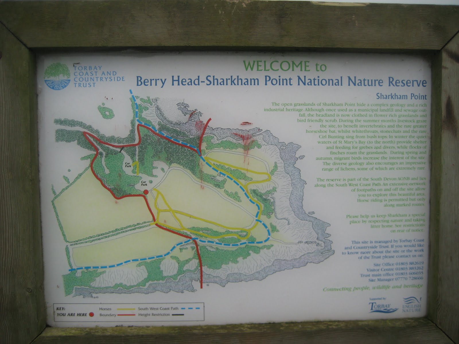 INSPIRED WALKS AROUND DEVON: Sharkham Point to Man Sands, Brixham ...
