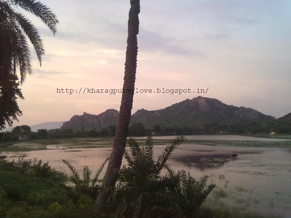 kharagpurmylove: Boronti, Muradi and Bero: Untrap natural habitat from ...