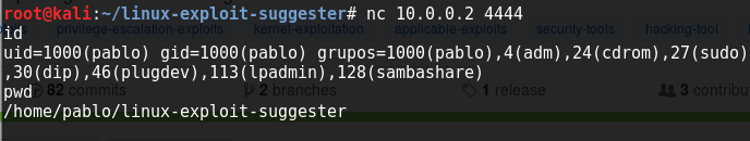 Un informático en el lado del mal: Linux Exploit Suggester: ¿Cómo puedo hackear este Linux?