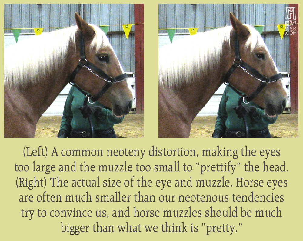 Musings at Minkiewicz Studios LLC: The Method, The Madness and The ...