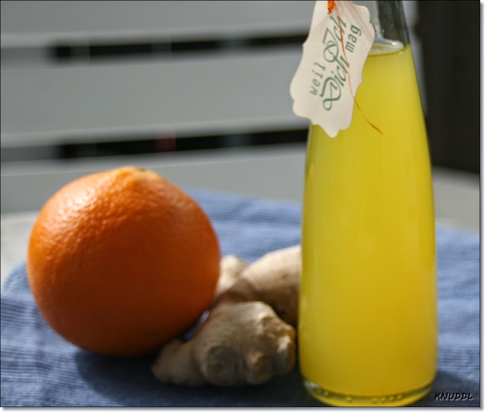 Likör mit Ingwer und Orange etwas besonderes