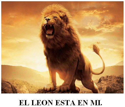 Leon gif - Imagui