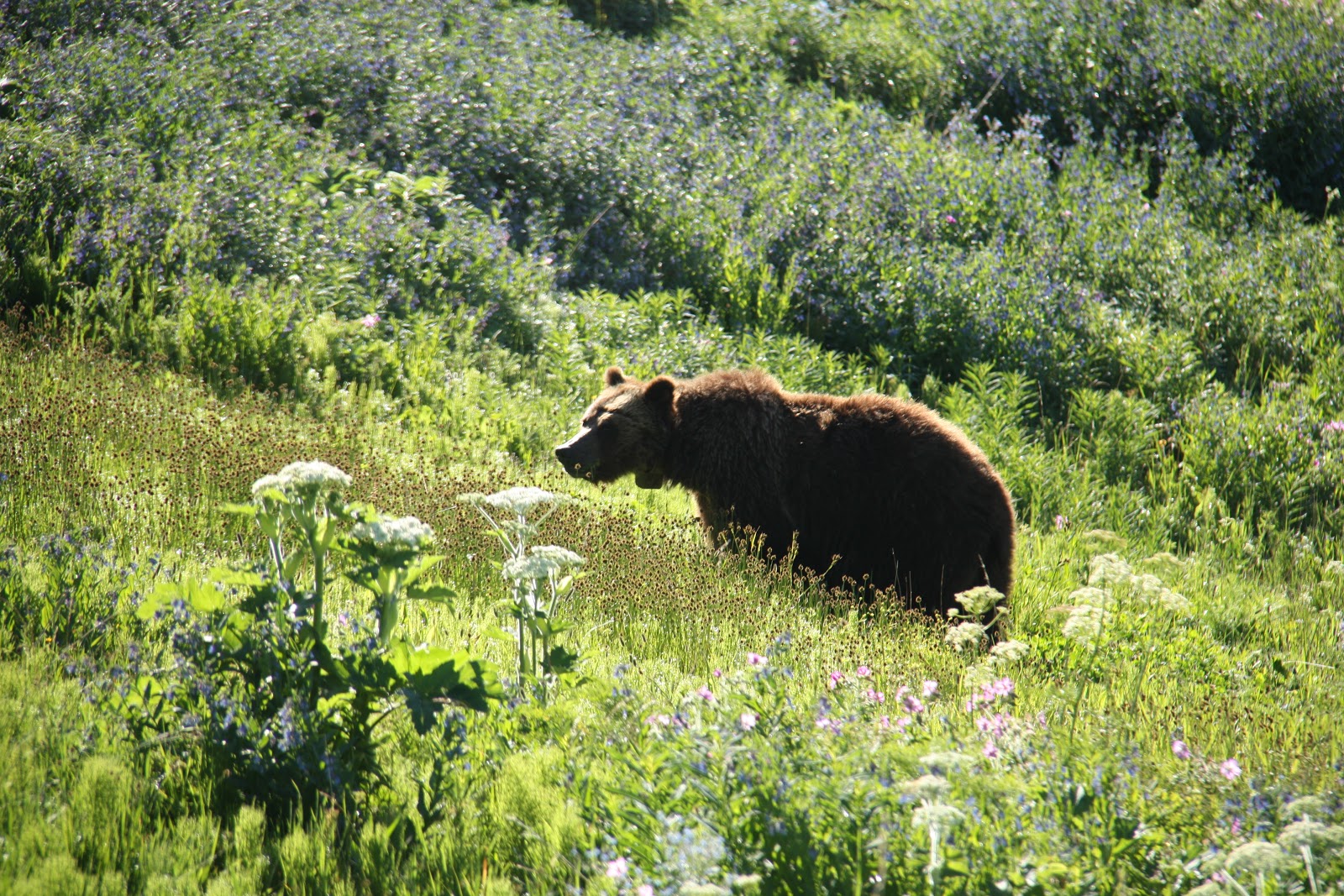 Lostentry - Welztalbahn, Model Railroading, and more: Best of ...