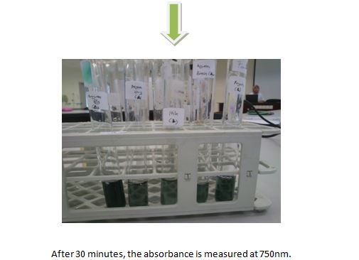 BIOCHEMISTRY: ~ Experiment 2: Protein Experiment