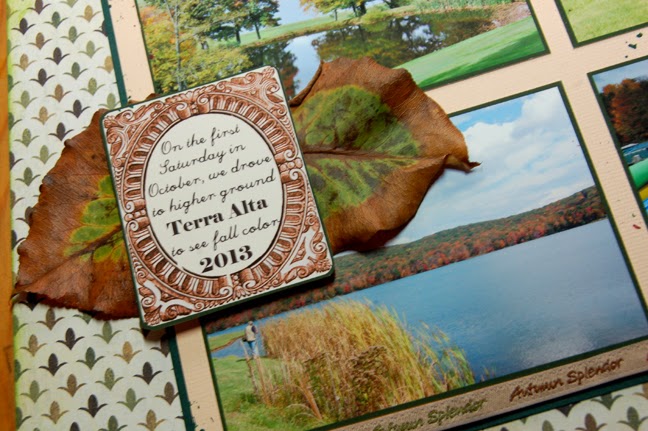 cindyspagesintime: Preston Color